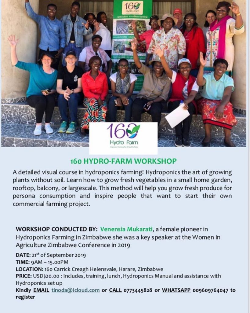 160 Hydro Farm - Hydroponic farming start up - StartupBiz Zimbabwe